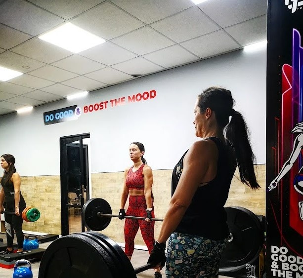 Itamar Shapira- The Trainer